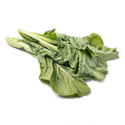 US GREEN SHER LI HON – Horizons Supplies